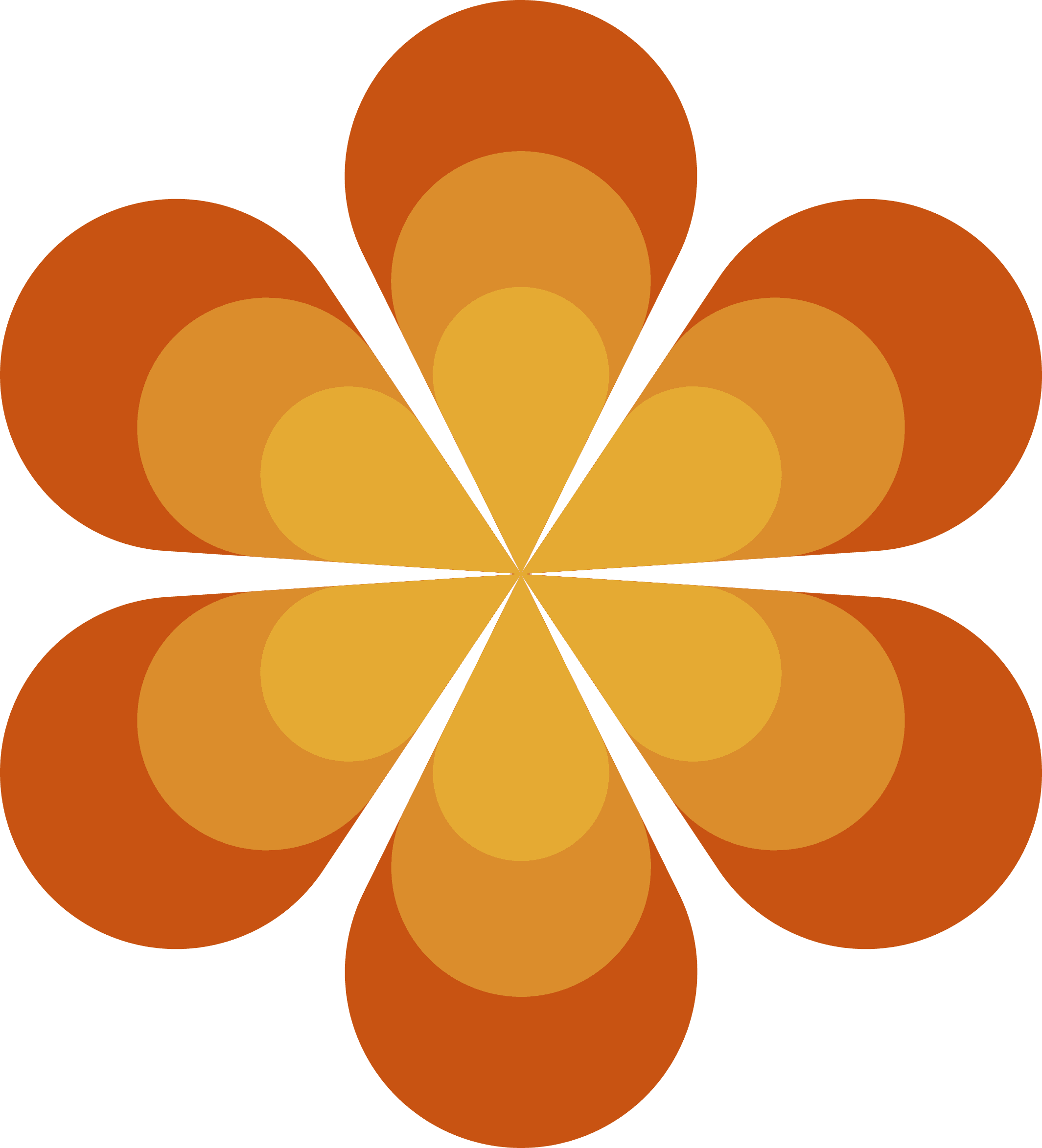 Zapi | Restaurant Italien & Pizzeria à Paris 1er | Pizza Maison